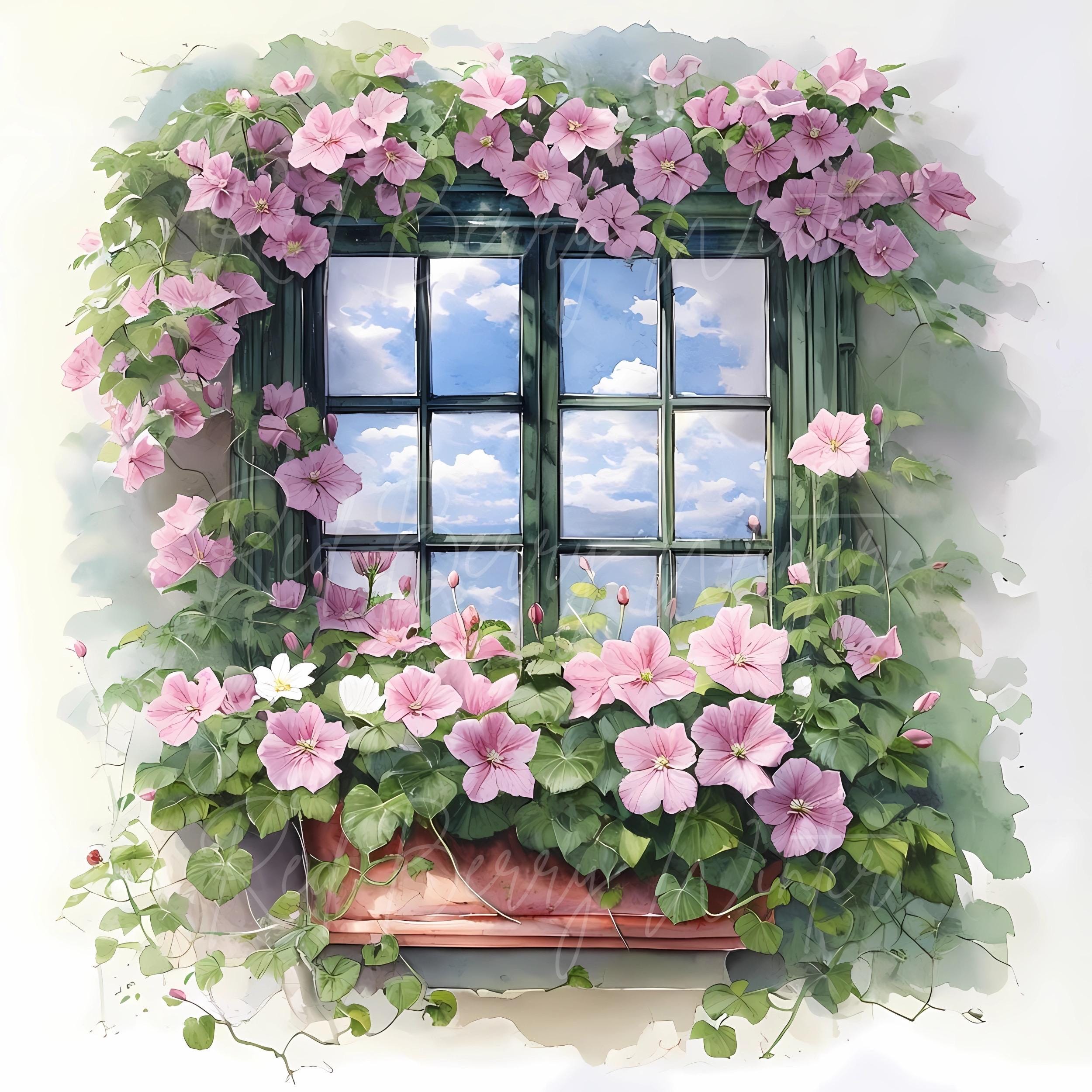 10 Floral Window Frame Clipart Bundle, High Quality Jpeg, Country ...