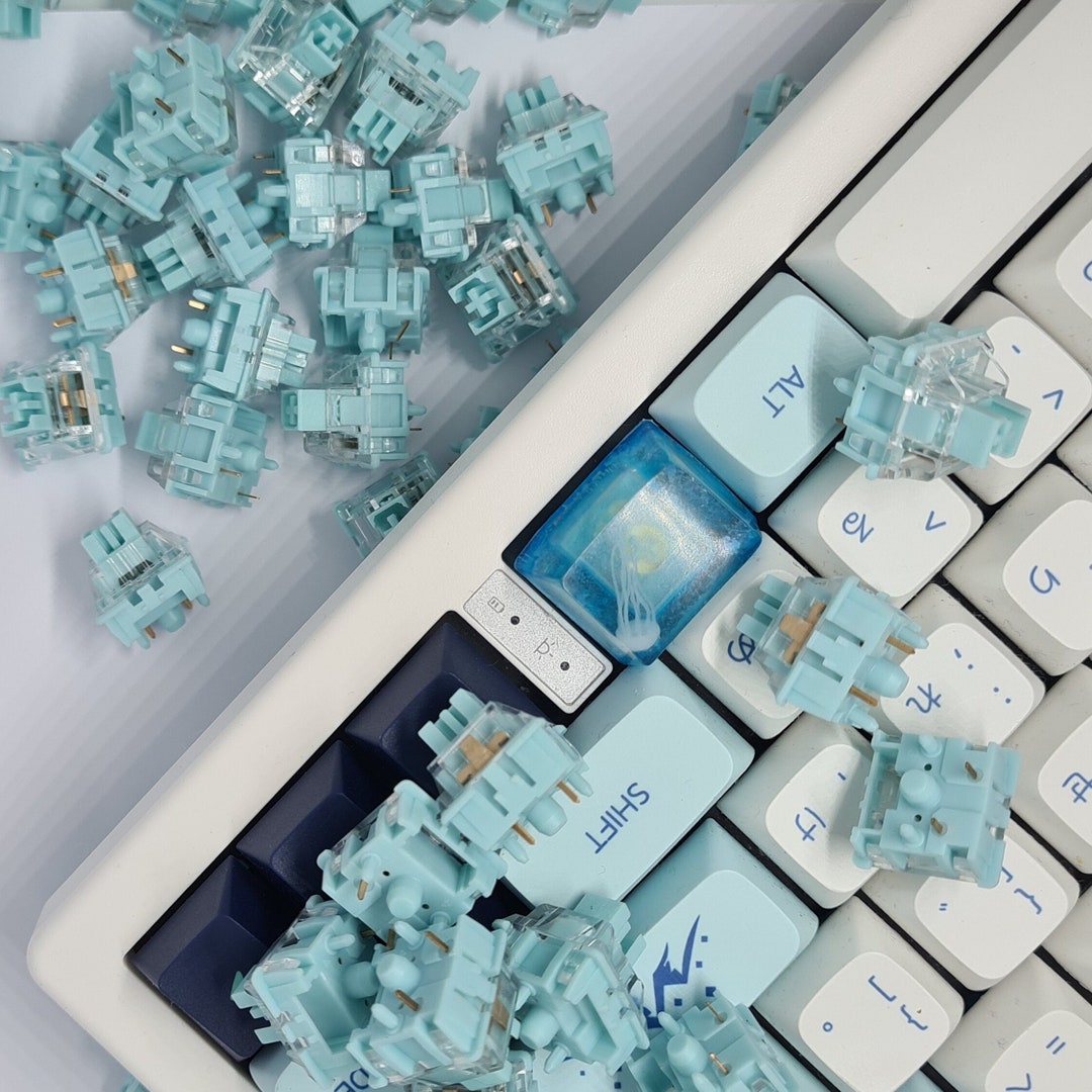Lubed and Filmed Everglide Sea Salt Tactile Switch (10 Pack) - Etsy