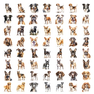 300 PNG Clipart Dog Breed Collection Bundle, Watercolor Files ...