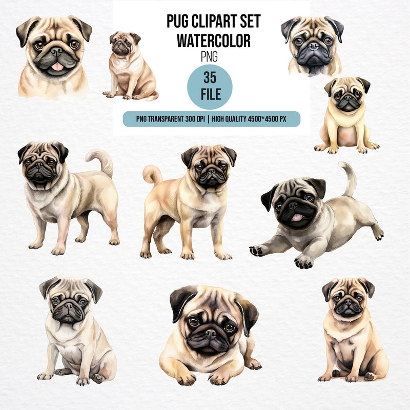 Pug Illustration - Etsy