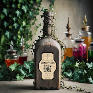 Potion Labels Digital,potion Labels Printable,wizard Potion Labels ...