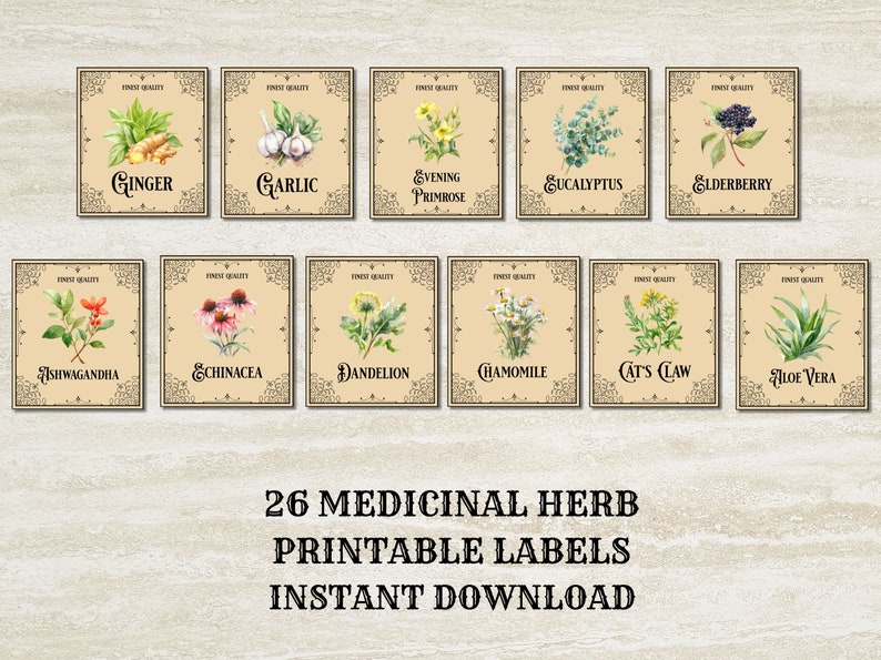 Medicinal Herbs Labels Printable, Herb Apothecary Labels, Vintage Printable Herb Labels, Herb ...