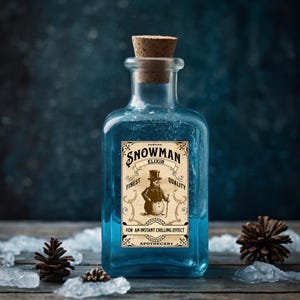 Christmas Potion Labels, Christmas Apothecary Labels, Magic Potion ...