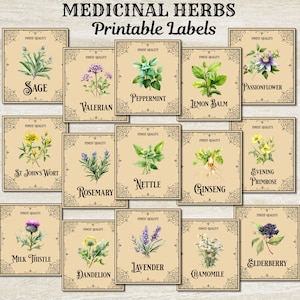 Medicinal Herbs Labels Printable, Herb Apothecary Labels, Vintage ...