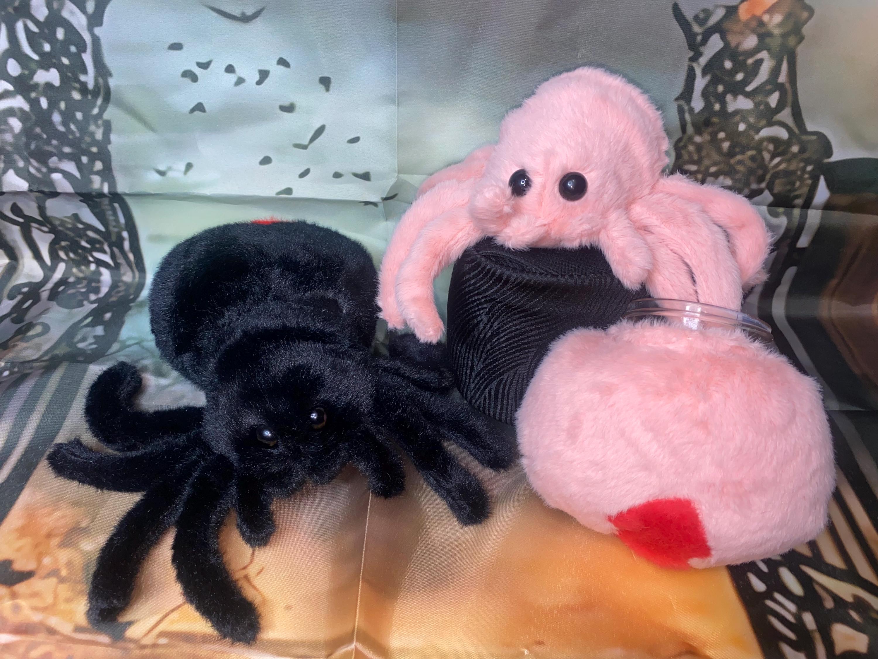 Spider Plush Halloween Stashjar , Animal Doll Stuffed Toy, 8” Jar - Etsy
