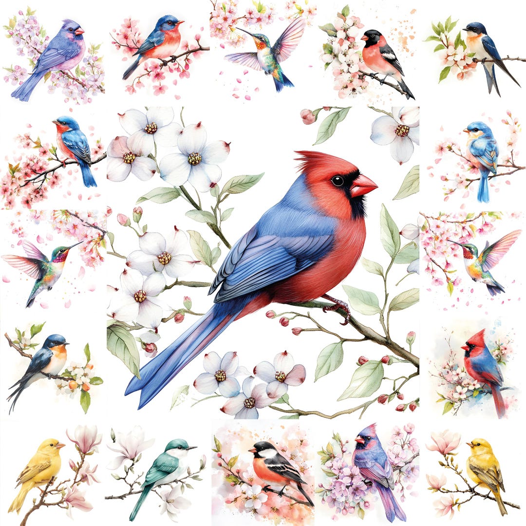 Watercolor Birds Clipart Set - 25 High-resolution Illustrations ...