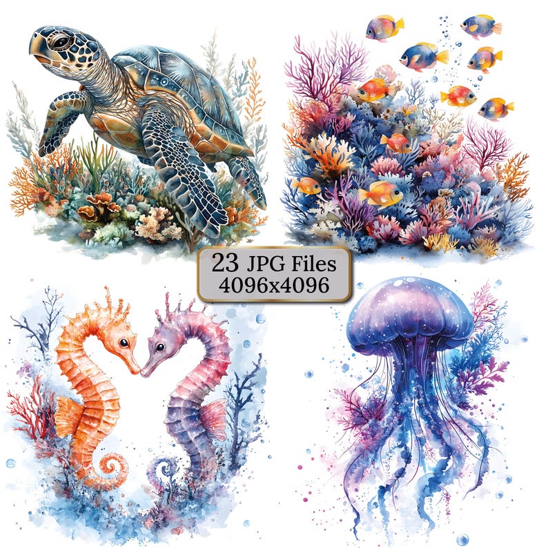 Watercolor Sea Life Clipart Bundle – 23 Ocean Animals, Jellyfish ...