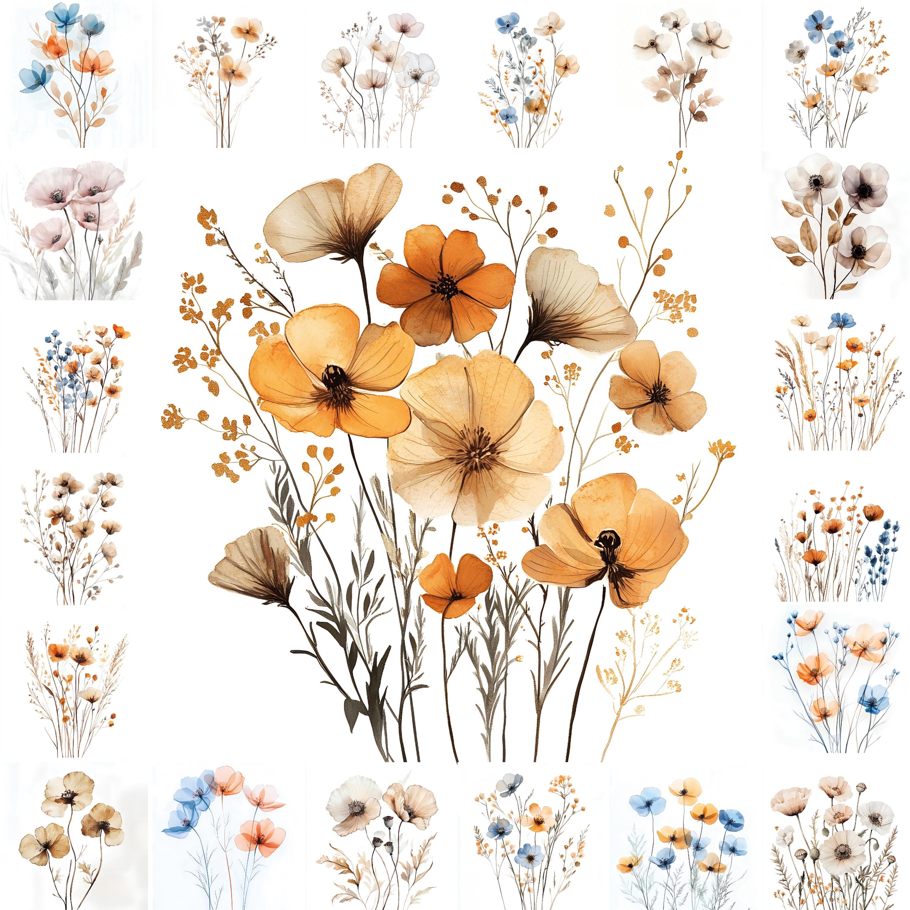 32 Abstract Flowers Clipart, Dried Flowers, Printable Watercolor ...