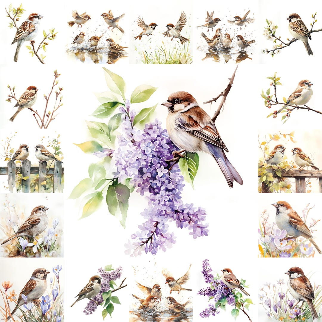 Spring Sparrows – 21 Watercolor Clipart, High-resolution Birds, Springart, Commercial Use ...