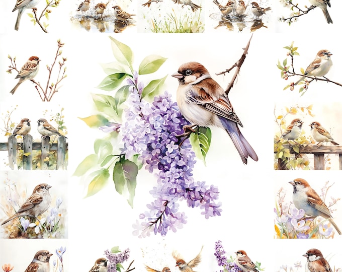 Spring Sparrows – 21 Watercolor Clipart, High-resolution Birds, Springart, Commercial Use ...