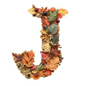 36 Autumn Alphabet & Numbers Clipart Set – Fall Leaves Floral Font ...