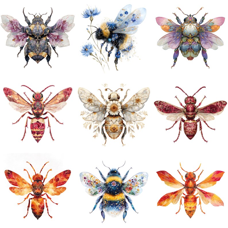 Bee Bumblebee Clipart, 26 Watercolor Insects & Floral Patterns, Ornate ...