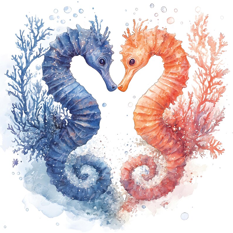 Watercolor Sea Life Clipart Bundle – 23 Ocean Animals, Jellyfish ...