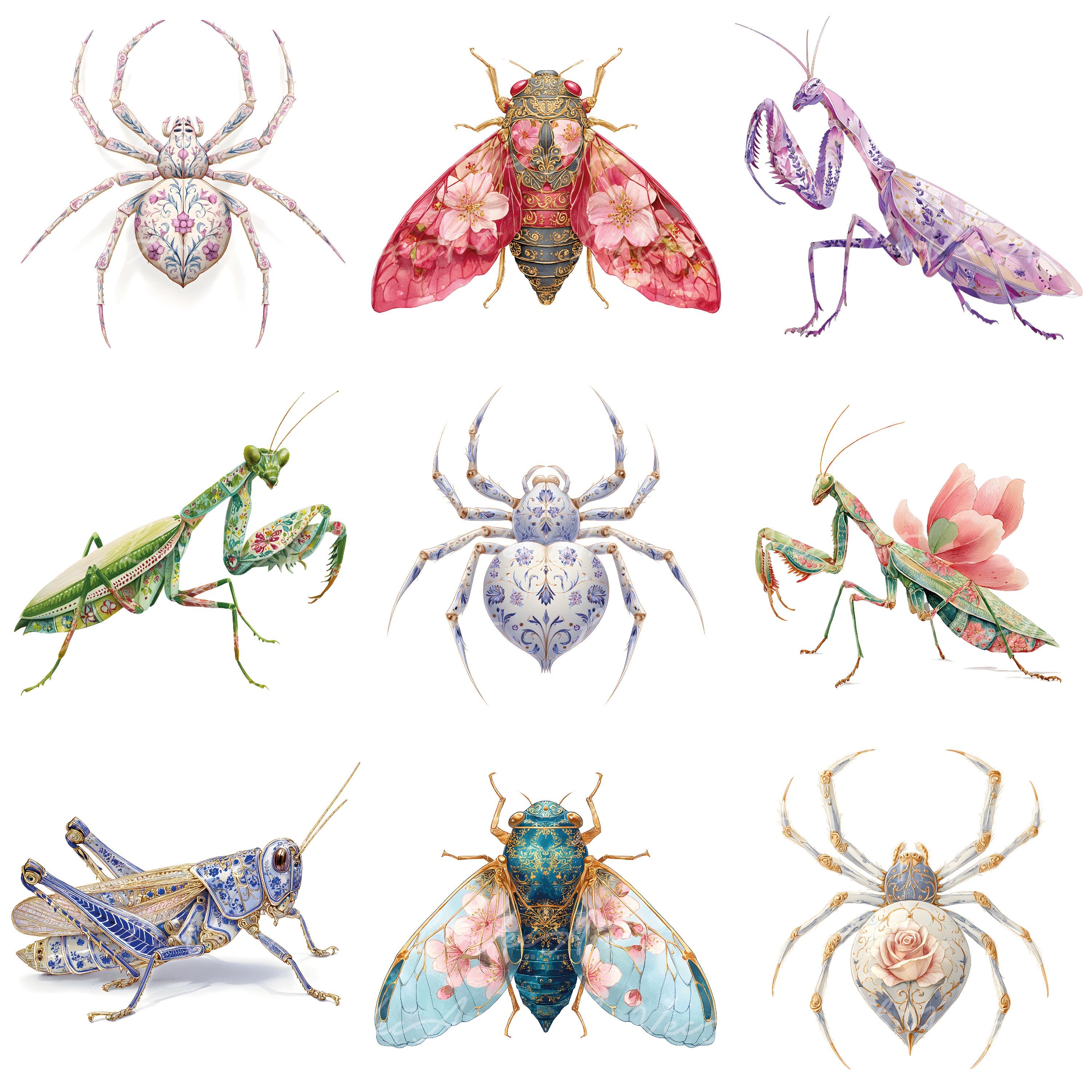 Mystical Insect Clipart – 45 Floral Patterned Bugs, Cicadas, Spiders ...