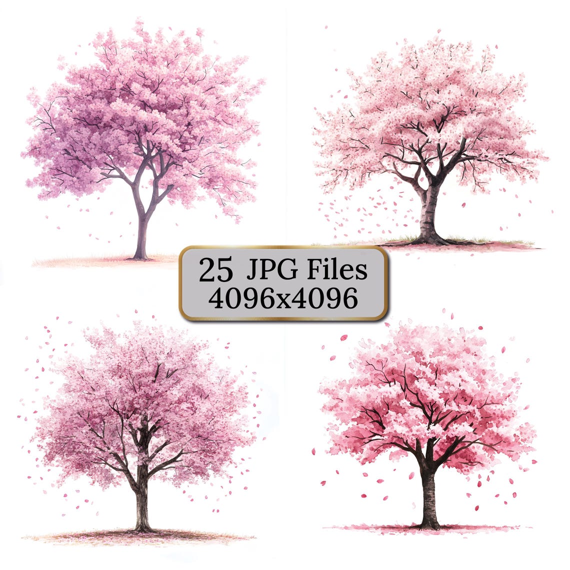 25 Cherry Blossom Tree Clipart, Sakura Tree Watercolor Illustration ...
