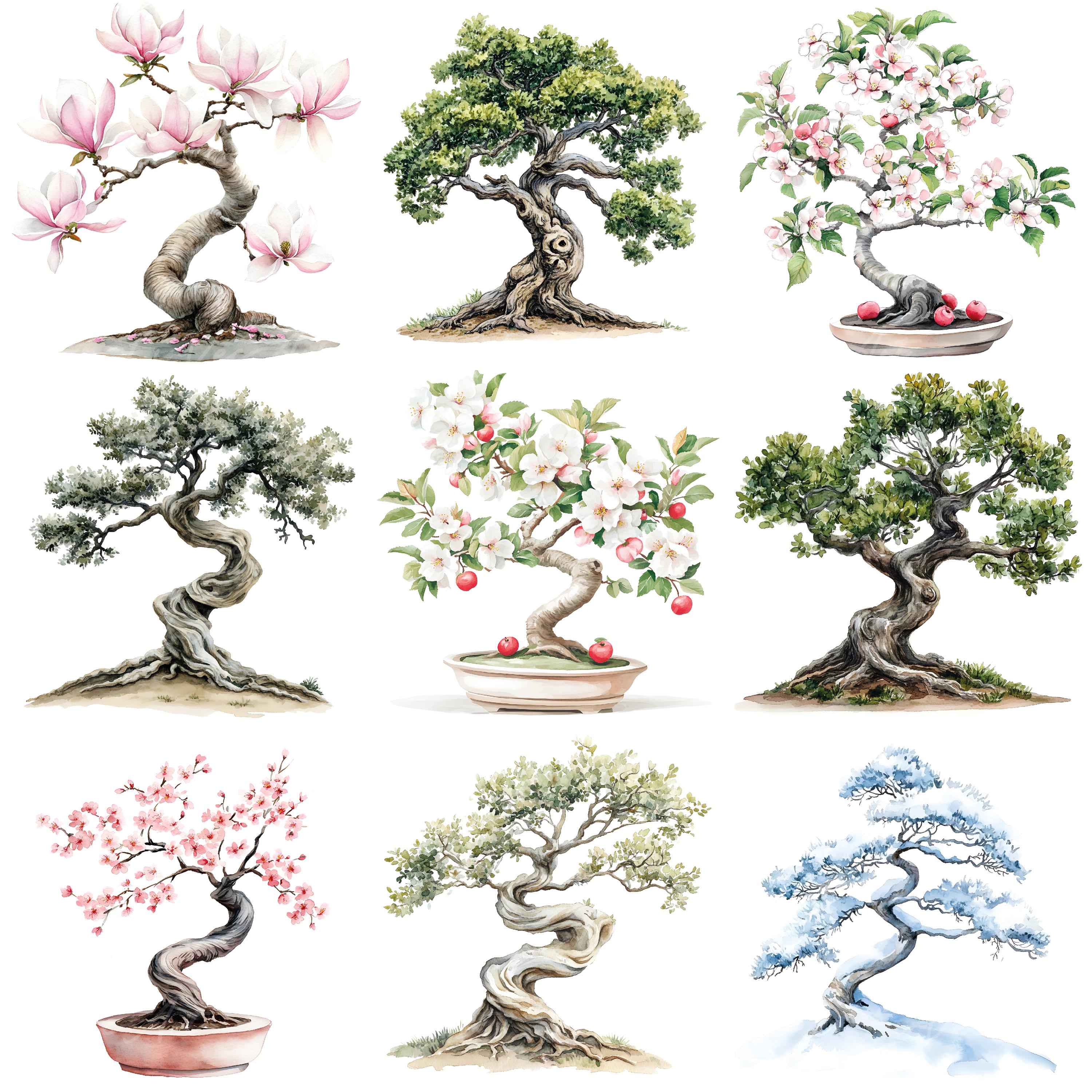 Watercolor Bonsai Tree Clipart – 28 Fantasy Botanical Illustrations ...