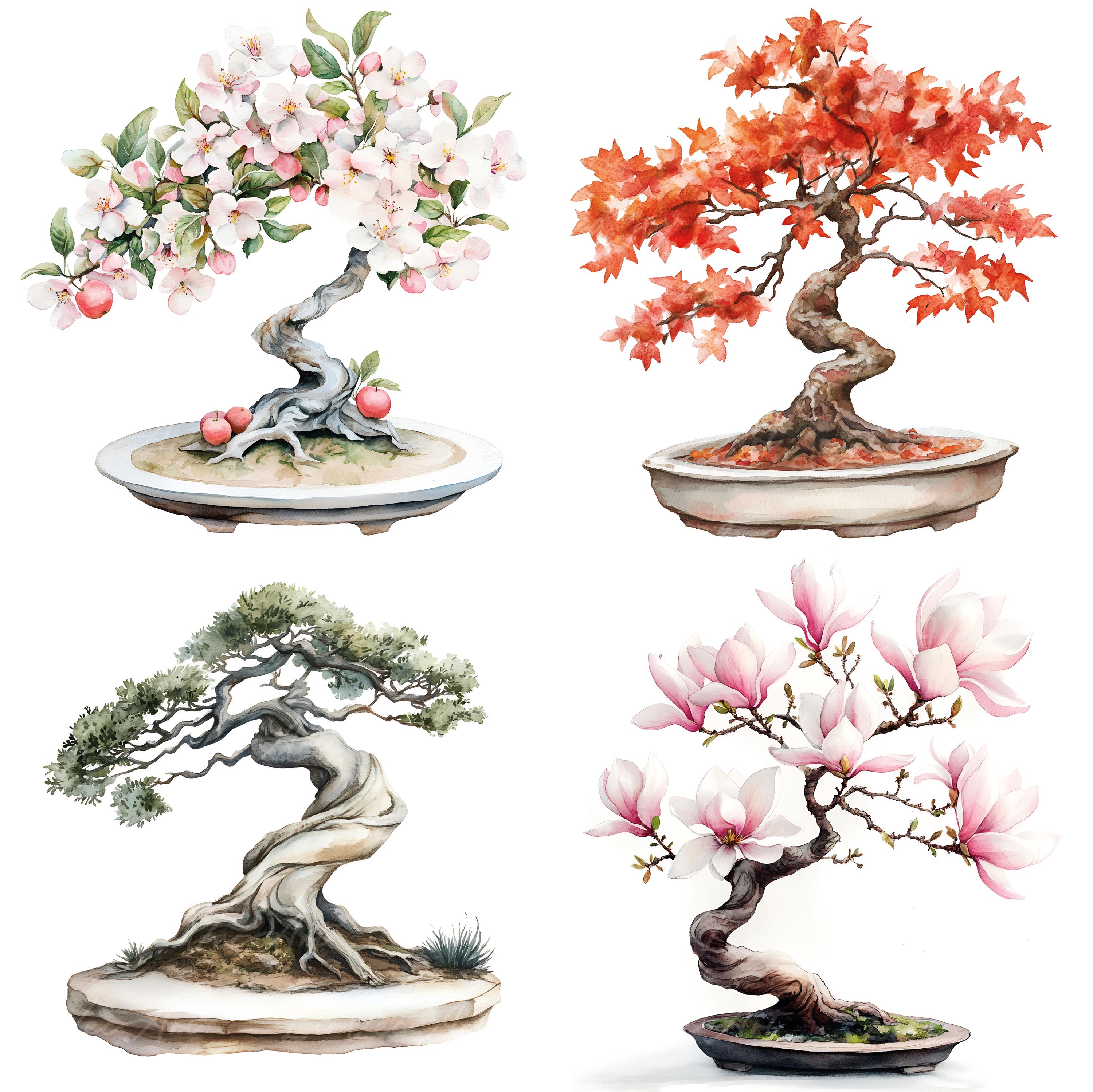 Watercolor Bonsai Tree Clipart – 28 Fantasy Botanical Illustrations ...
