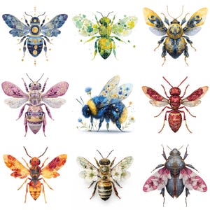 Bee & Bumblebee Clipart – 40 Watercolor Insects With Floral Patterns ...
