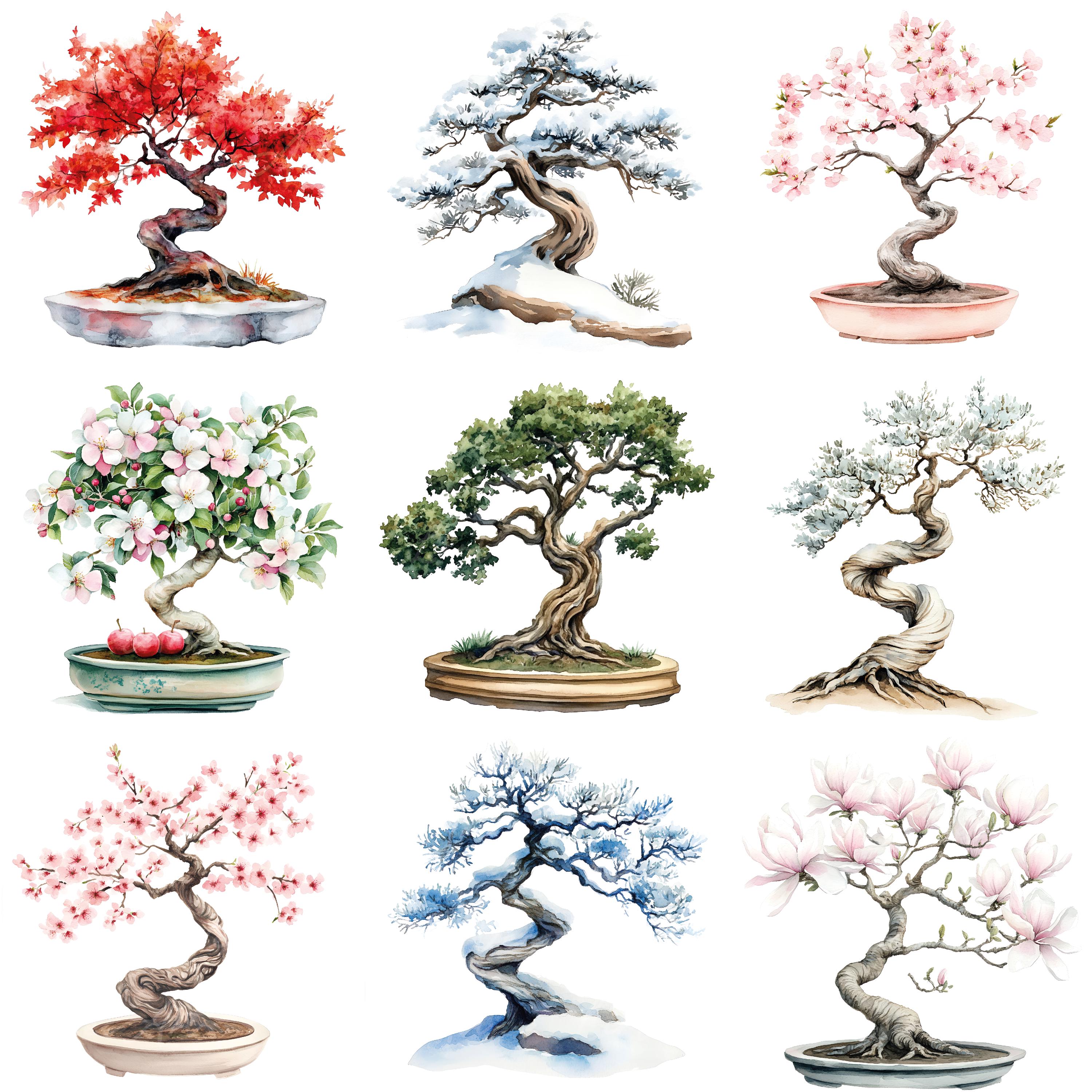 Watercolor Bonsai Tree Clipart – 28 Fantasy Botanical Illustrations ...