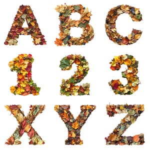 36 Autumn Alphabet & Numbers Clipart Set – Fall Leaves Floral Font ...