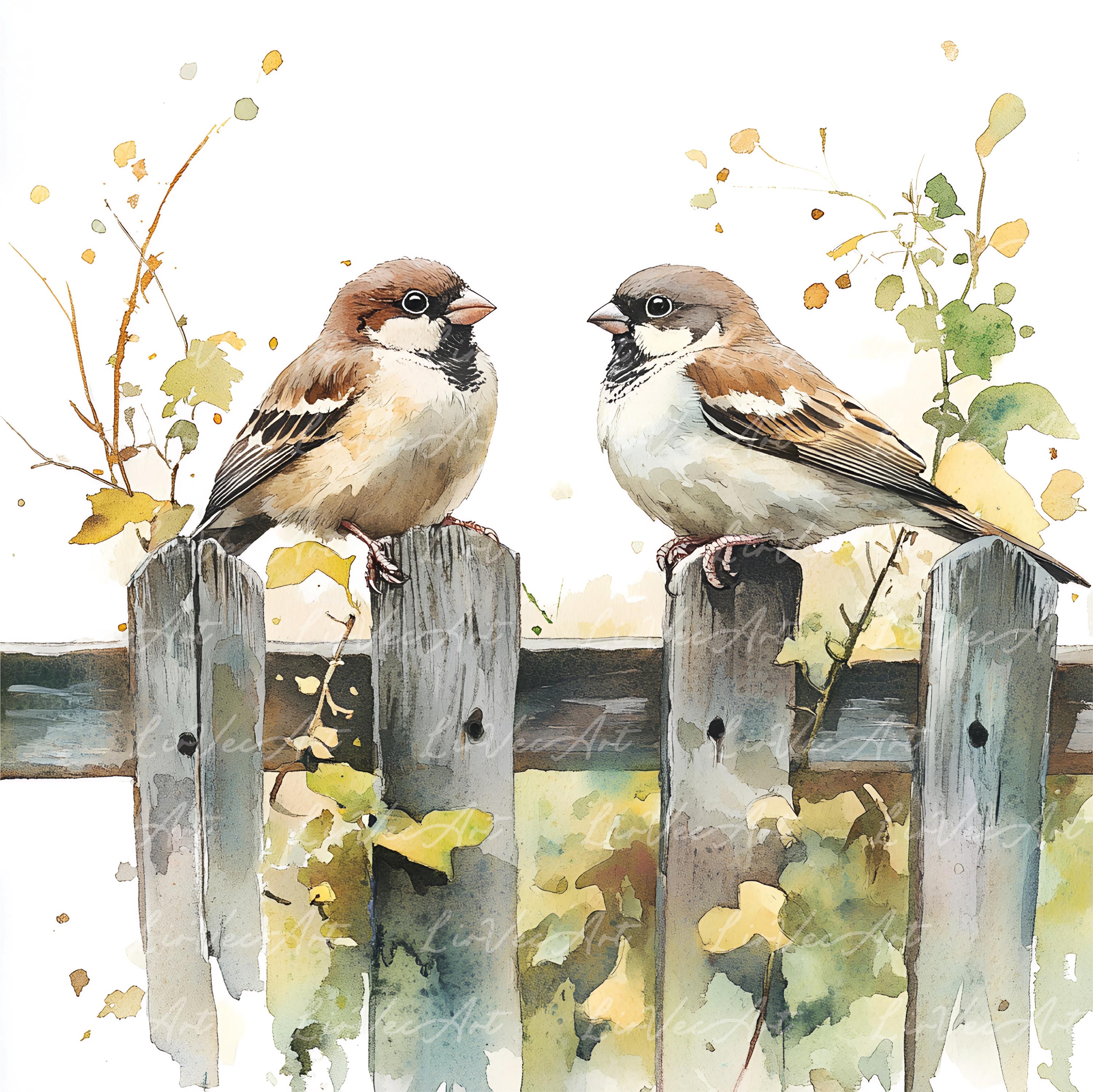 Spring Sparrows – 21 Watercolor Clipart, High-resolution Birds, Spring ...
