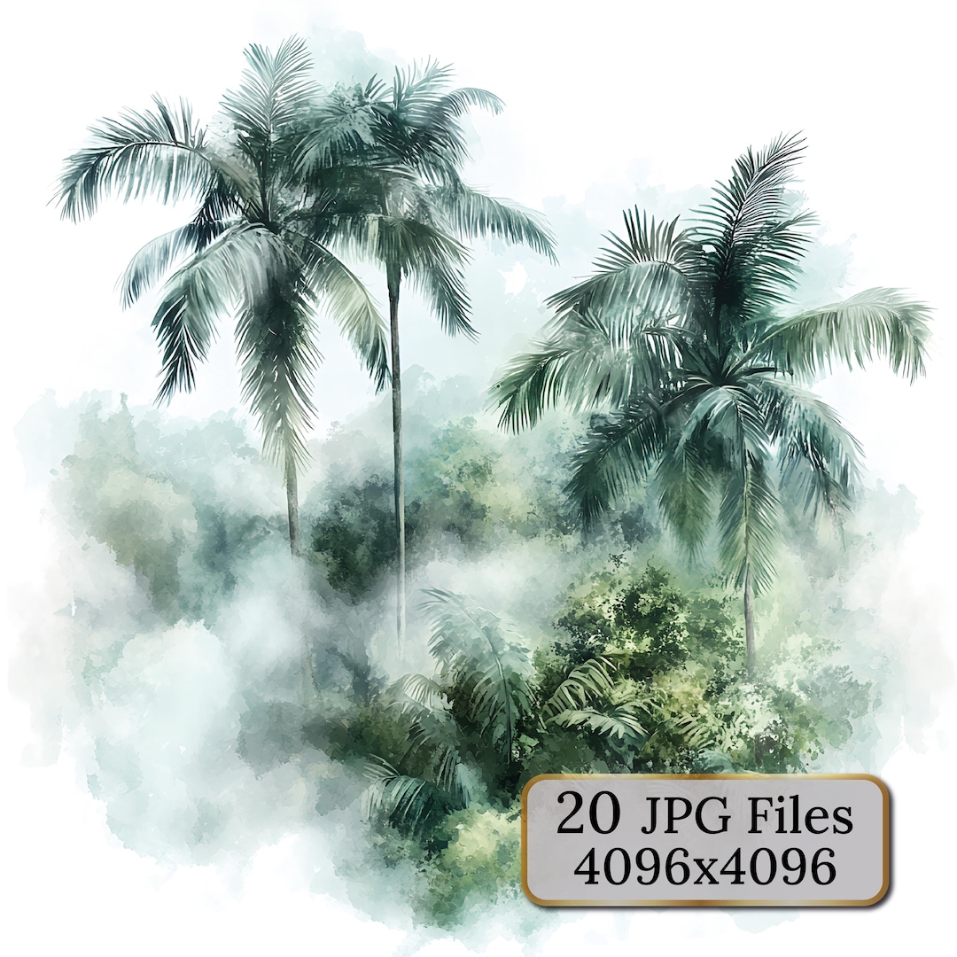 20 Watercolor Tropical Jungle Clipart – Misty Rainforest, Palm Trees ...