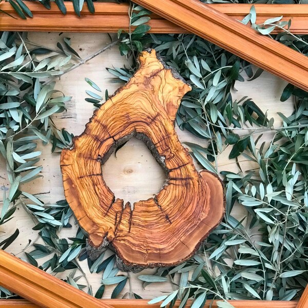 Burl Root - Etsy