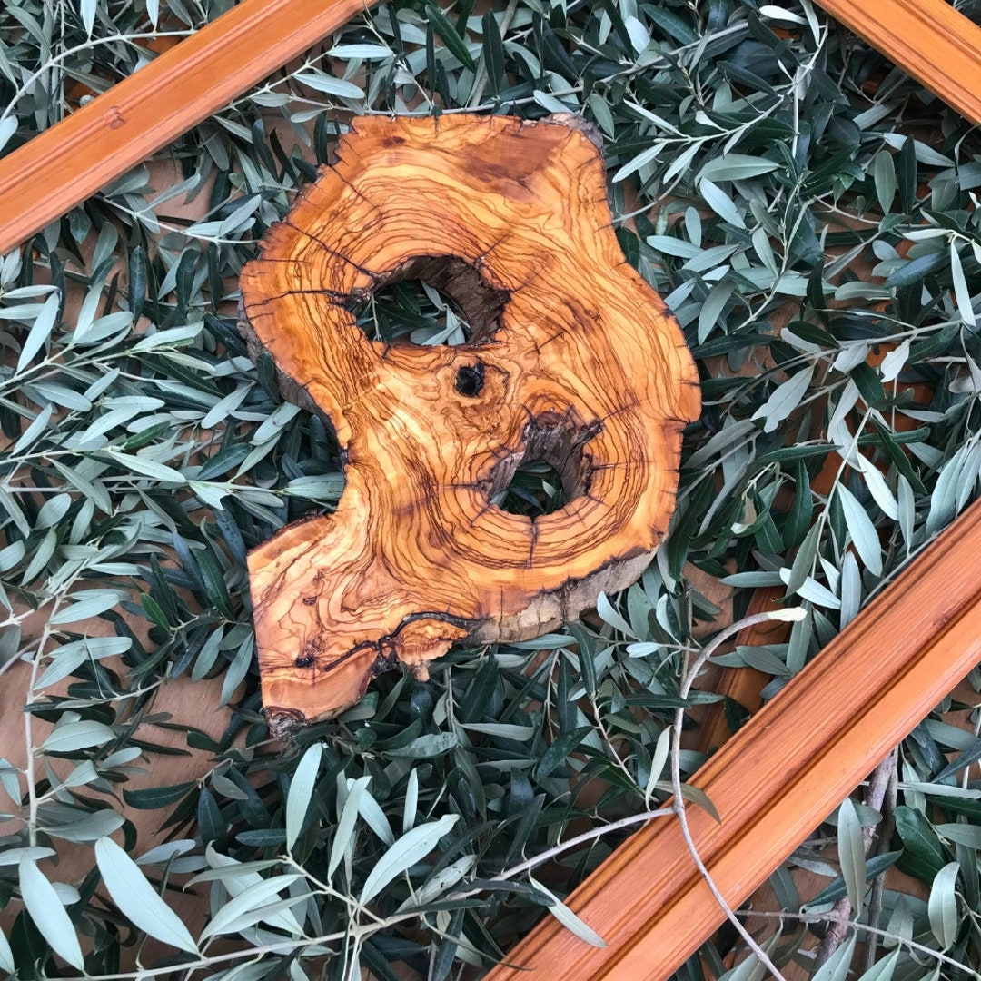 Olive Root for DIY Epoxy Projects, Unique Olive Root Burl Slices ...