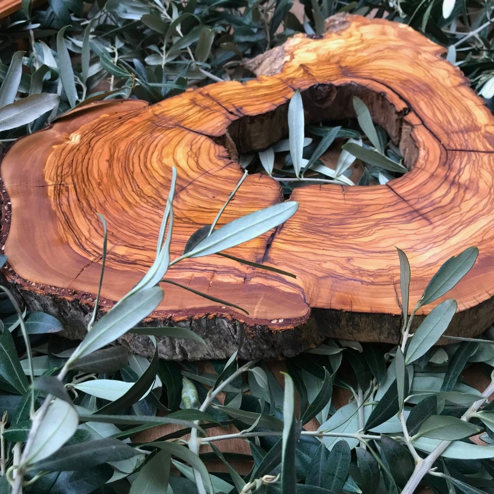 Olive Wood Slab for Wood Art Project, Unique Wood Root Burl Slices ...