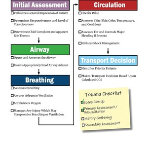 The Ultimate NREMT Trauma Study Guide - Etsy