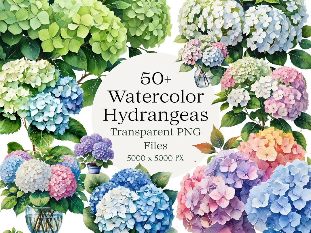 Watercolor Hydrangea Flower Clipart, Watercolor Flower Bundle Clipart ...