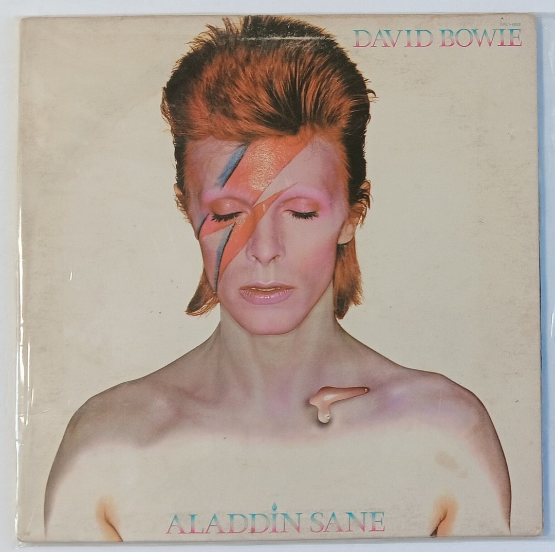 David Bowie-aladdin Sane 1973 LP - Etsy