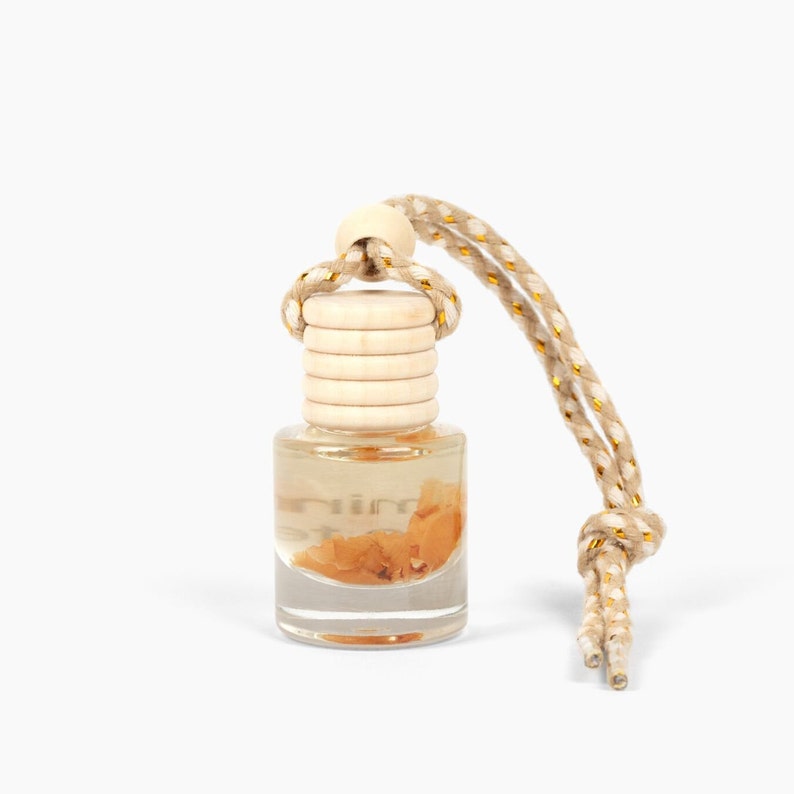 Car Diffuser | Car Air Freshener | Hanging Scented Car Diffuser ...