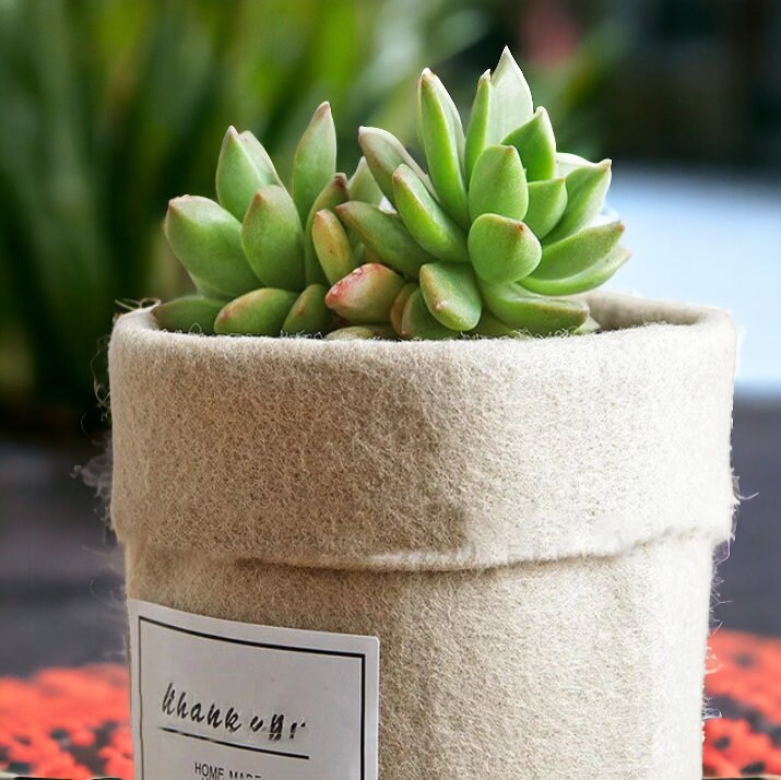 Simple Style Desktop Felt Flower Pot Gardening Plant Container Bag ...