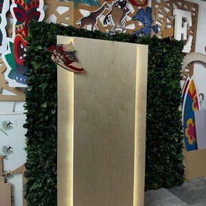 6ft LED Backdrop Wall Plywood Collapsible, Light up Backdrop Event Prop ...