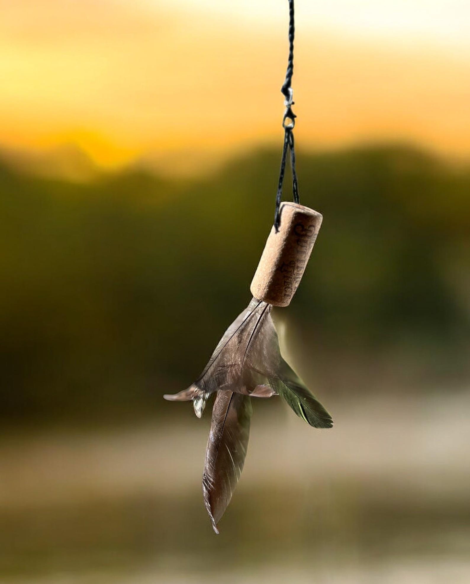 Cat Teaser, Eco-friendly Cat Toy, Feathered Cat Toy, Cat Wand Toys, Cat ...