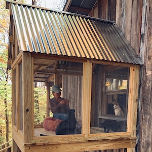 Catio With Catwalk and "treehouse", Detailed Plans Outdoor Cat House ...