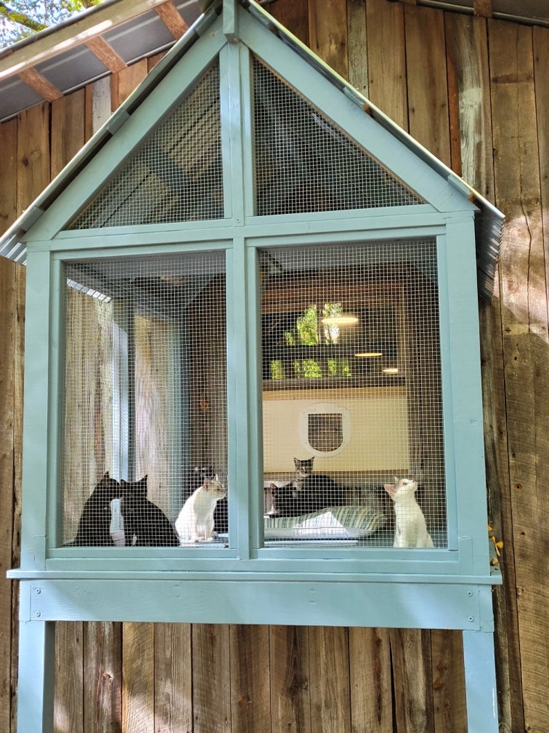 DIY Catio, Detailed Construction Plans, Outdoor Cat Enclosure ...