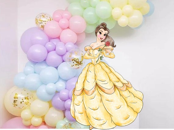 Princess Belle Birthday