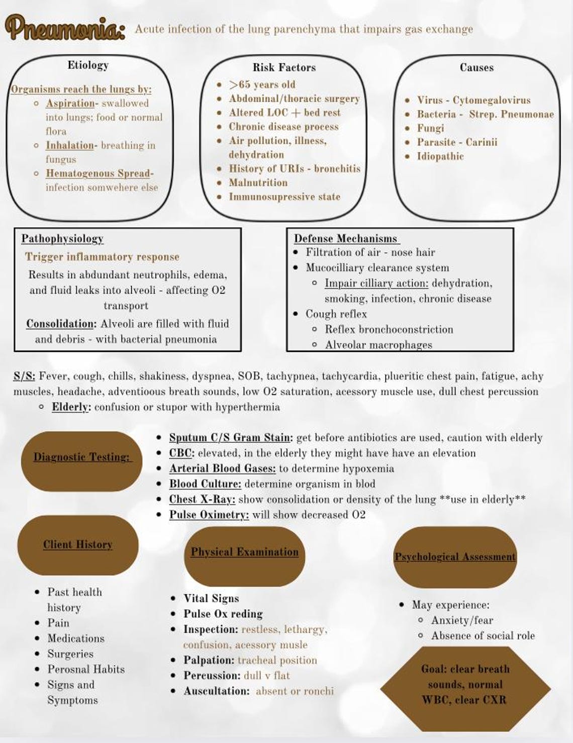 Pneumonia Nursing Study Guide - Etsy