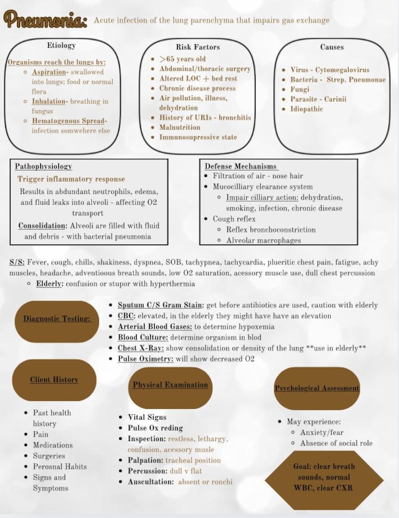 Pneumonia Nursing Study Guide - Etsy