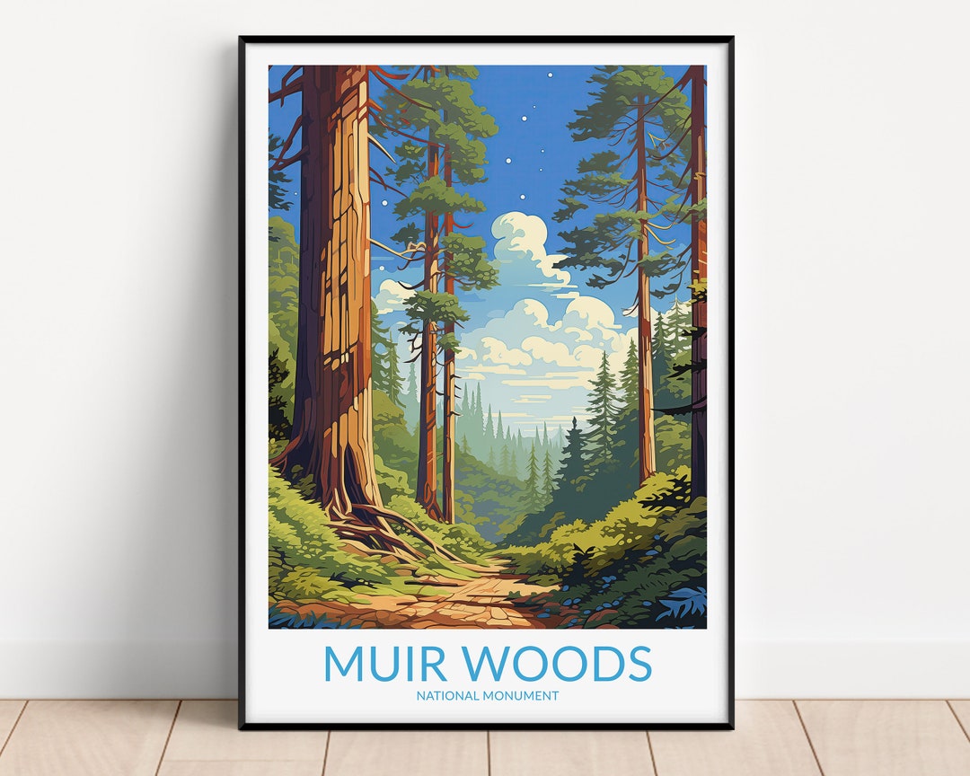 Muir Woods Print, Muir Woods Poster, Muir Woods Wall Art, Muir Woods ...