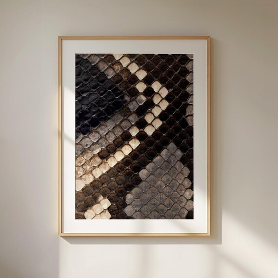 Snake Skin Pattern Abstract