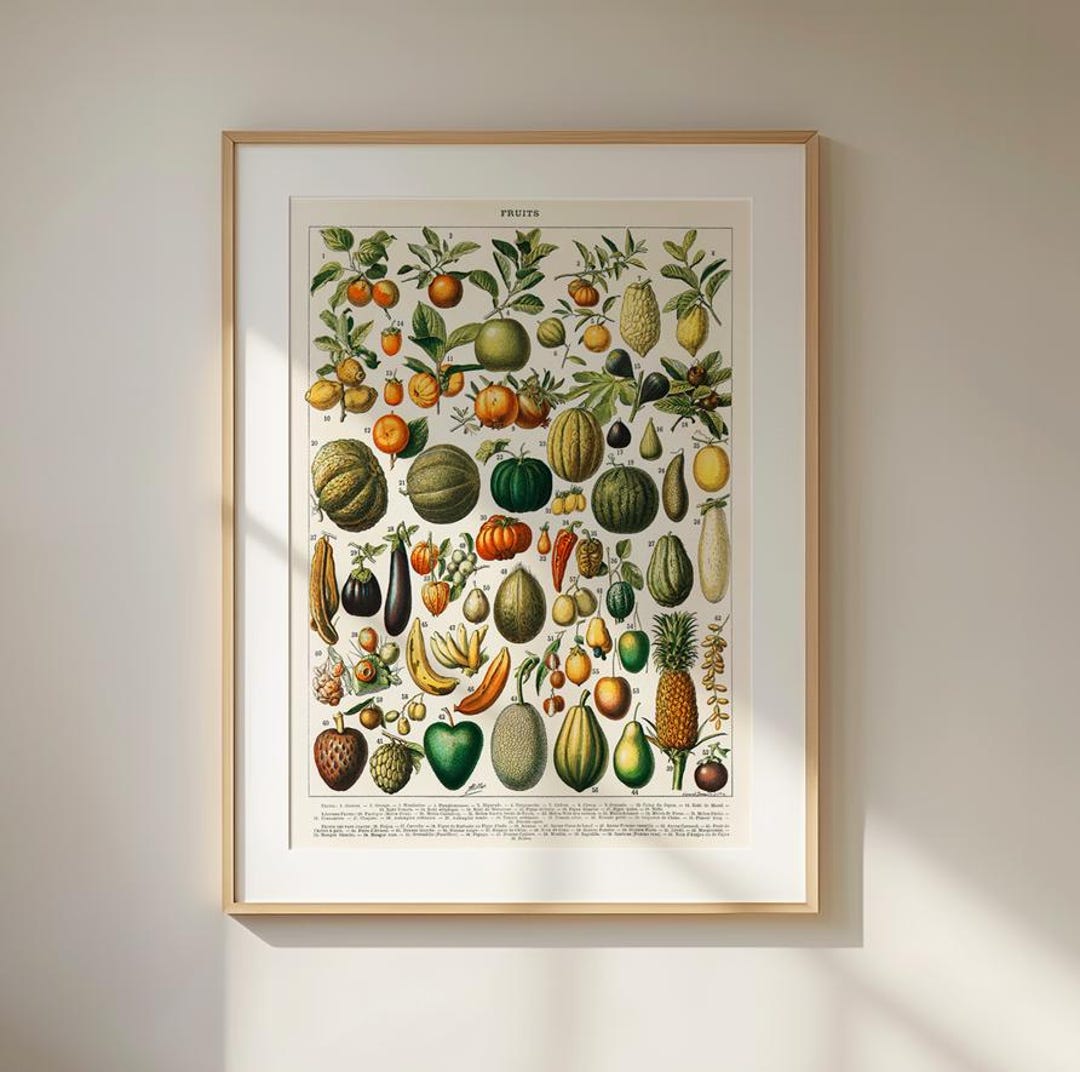Vintage Fruit Botanical Poster –antique Educational Chart Featuring ...