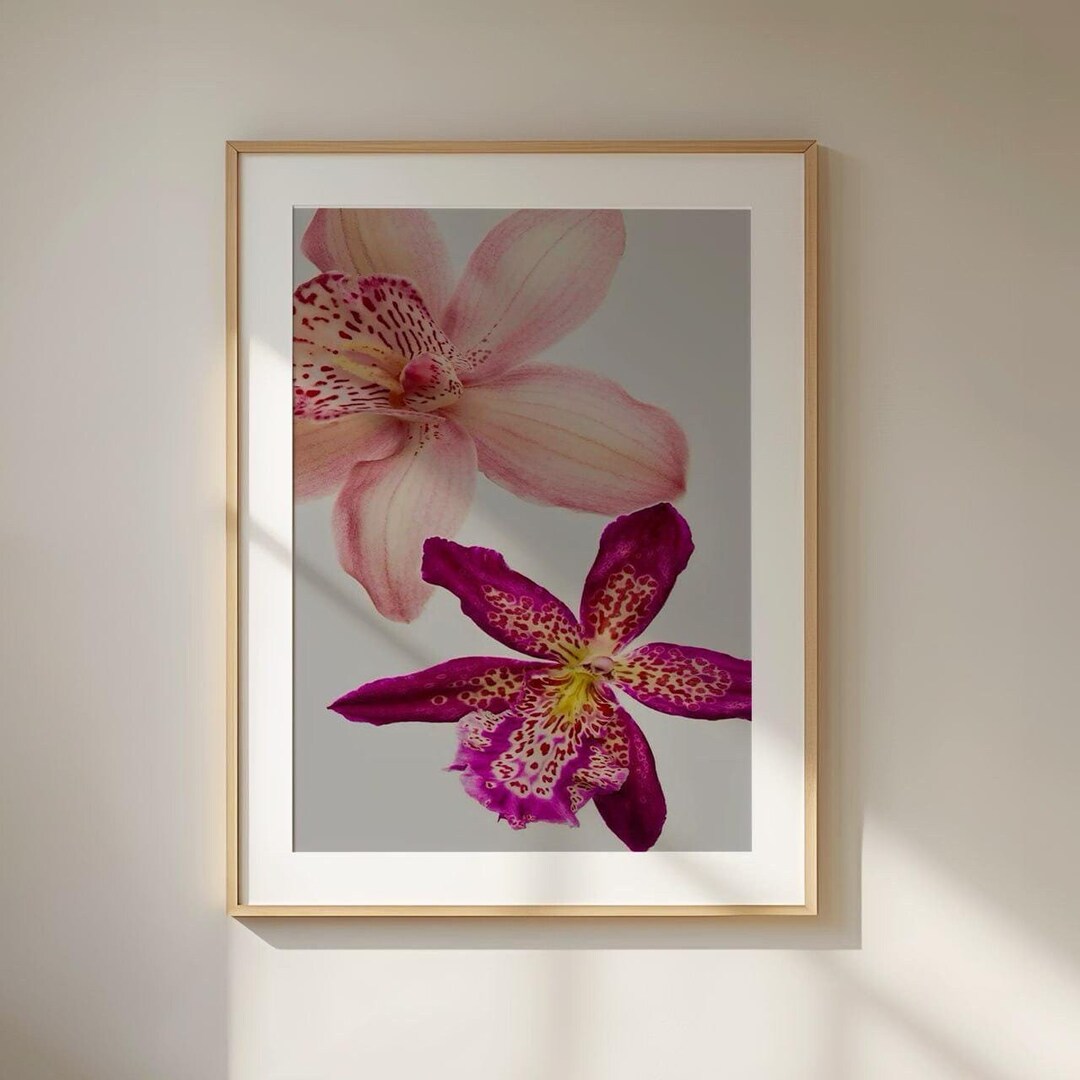 Orchid Flower Poster, Pink and Purple Botanical Print, Elegant Floral ...