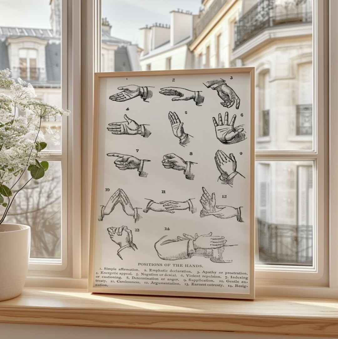 Anatomical Hand Gesture Chart – Vintage Scientific Illustration Print ...
