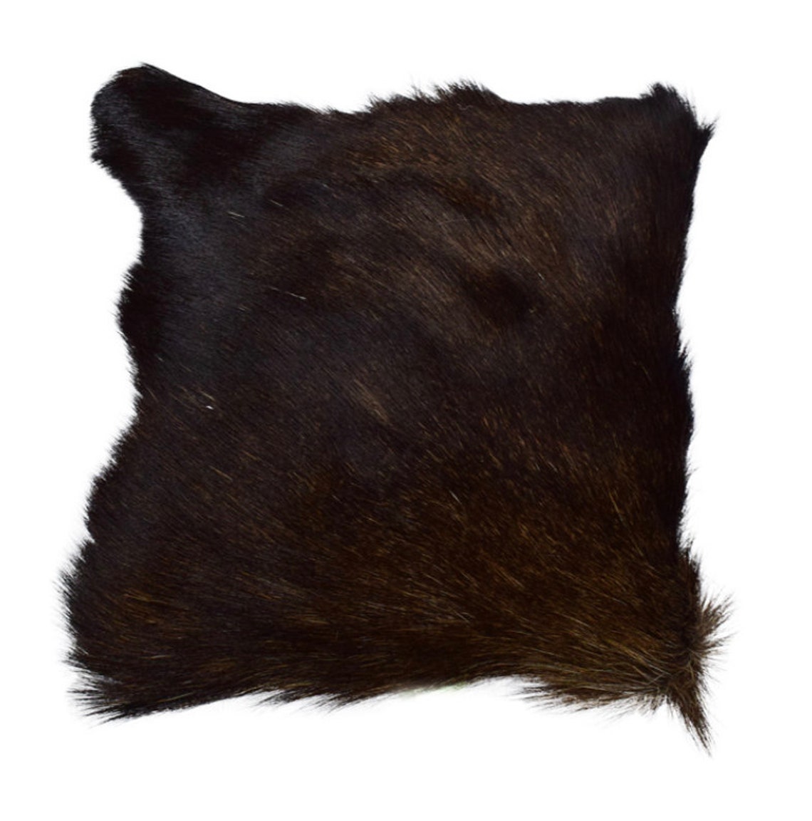 Authentic Moose Pillow (multiple Sizes Available) - Etsy