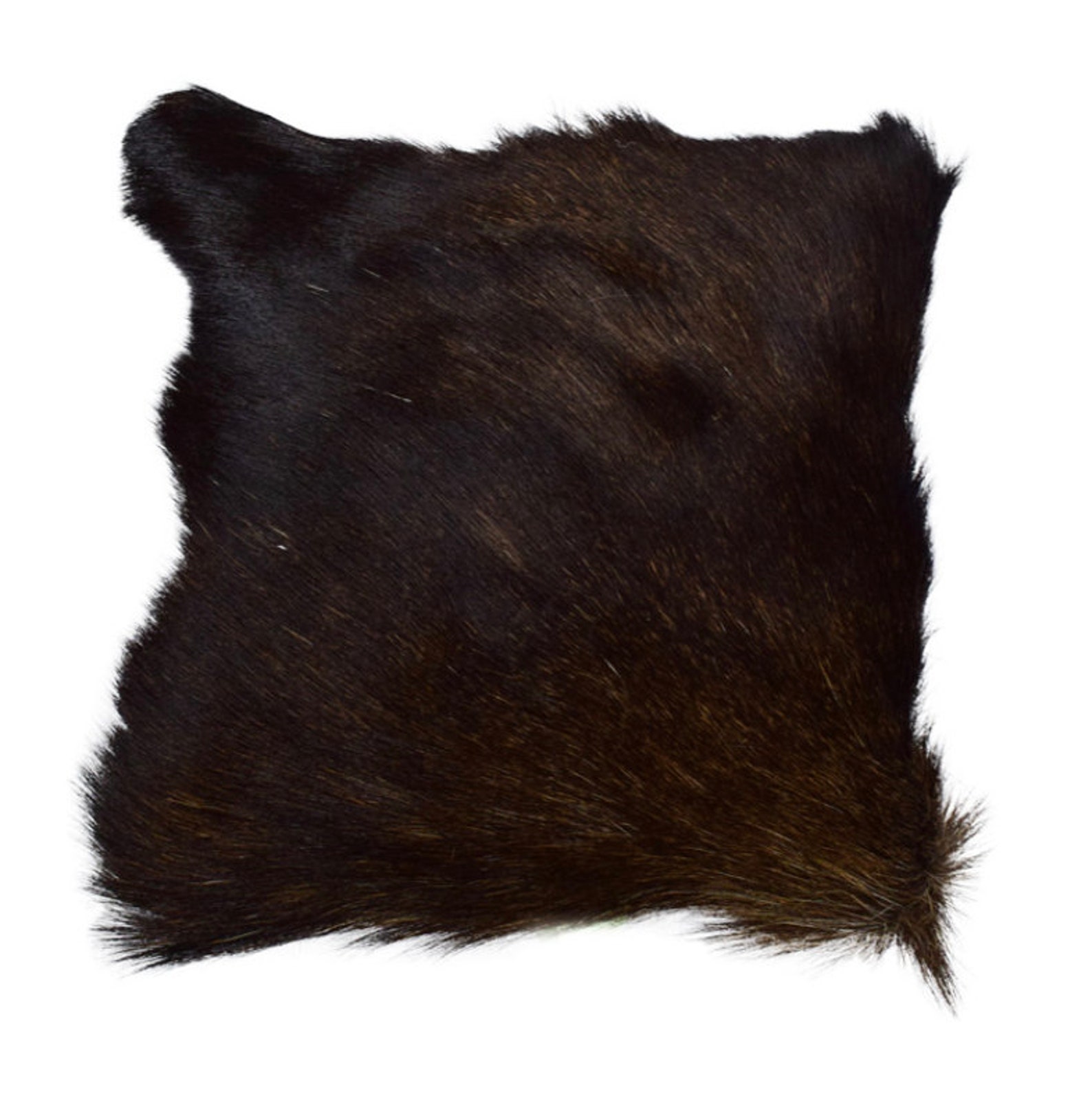 Authentic Moose Pillow (multiple Sizes Available) - Etsy