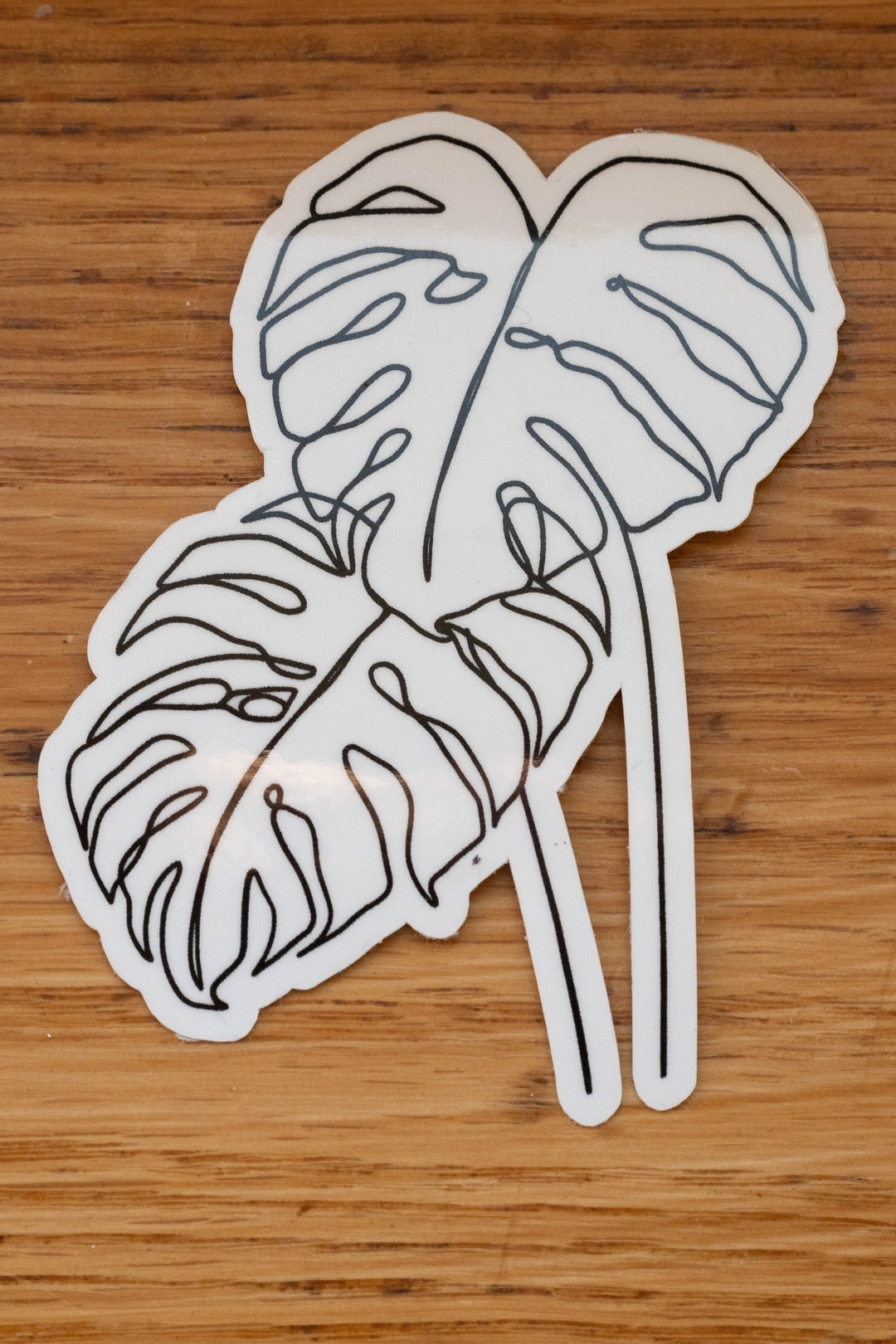 Monstera Sticker | Monstera Lovers Sticker | Plant Lovers Sticker ...