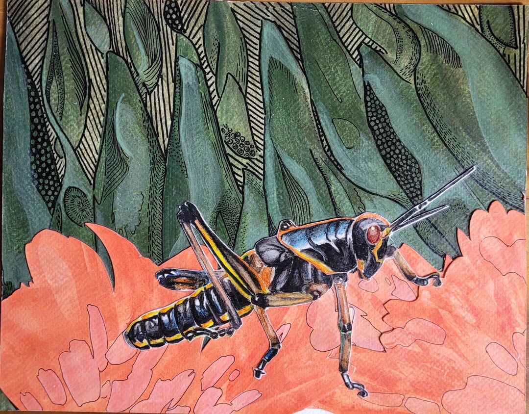 Grasshopper Watercolor Collage - Etsy